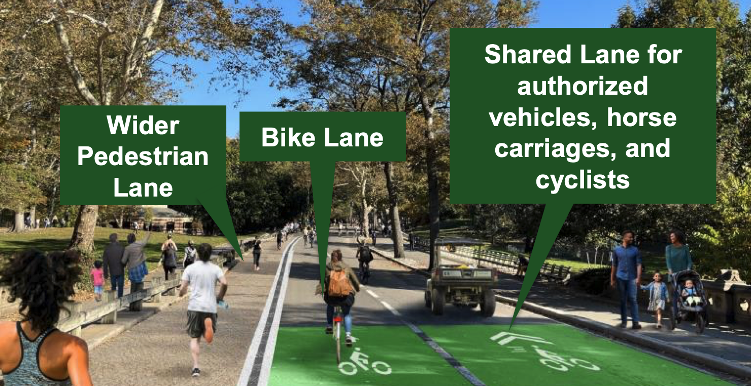 Central Park Changes Have Eased Crossings for Pedestrians, New Data ...