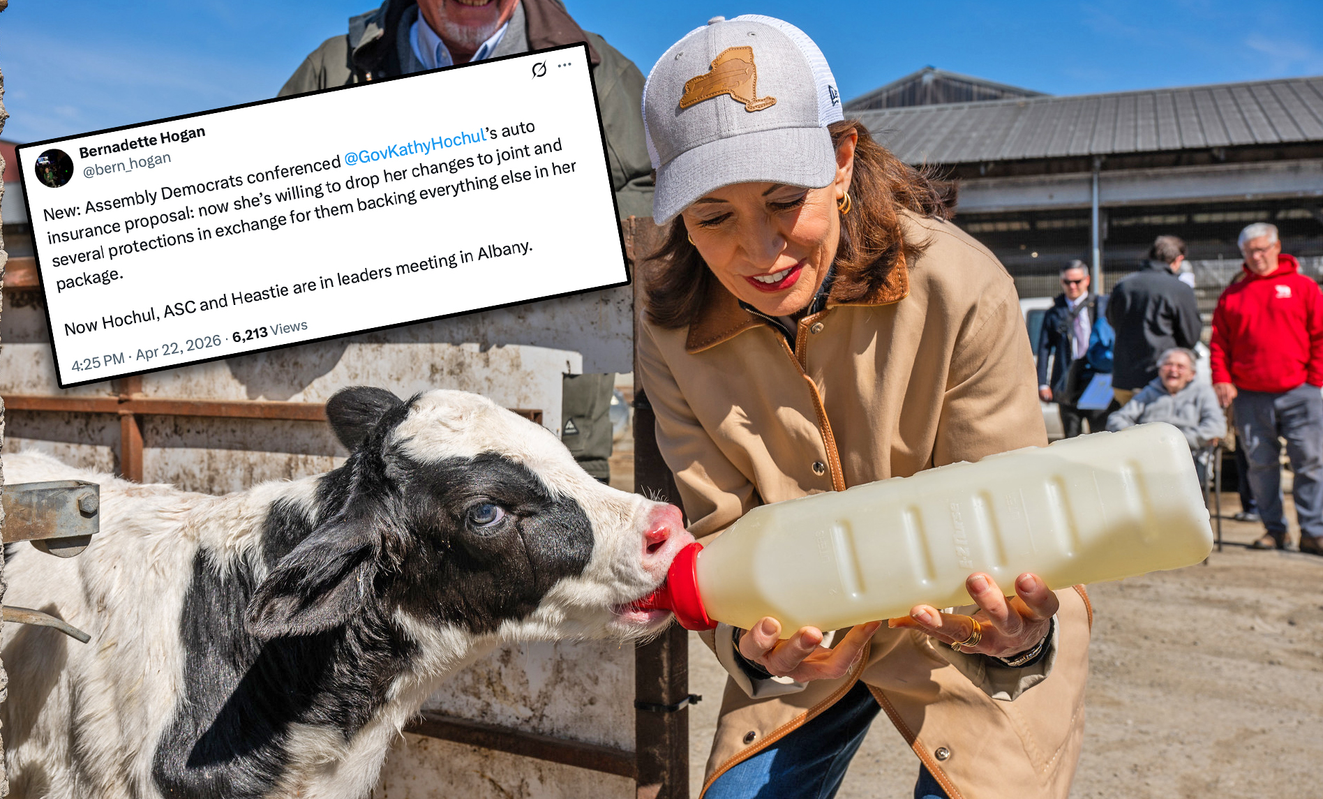 Thursday's Headlines: Having a Cow Edition - Streetsblog New York City